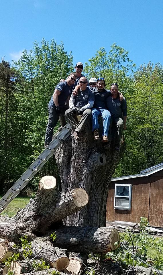 Lake View Lawns Inc. | Hamburg Lawn Care Service